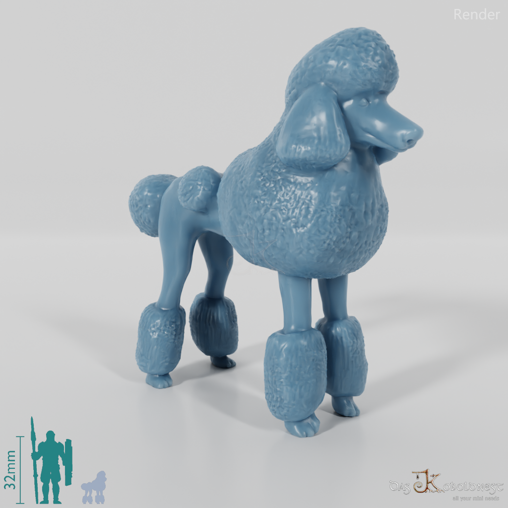 Hund - Pudel 01 – Koboldnest